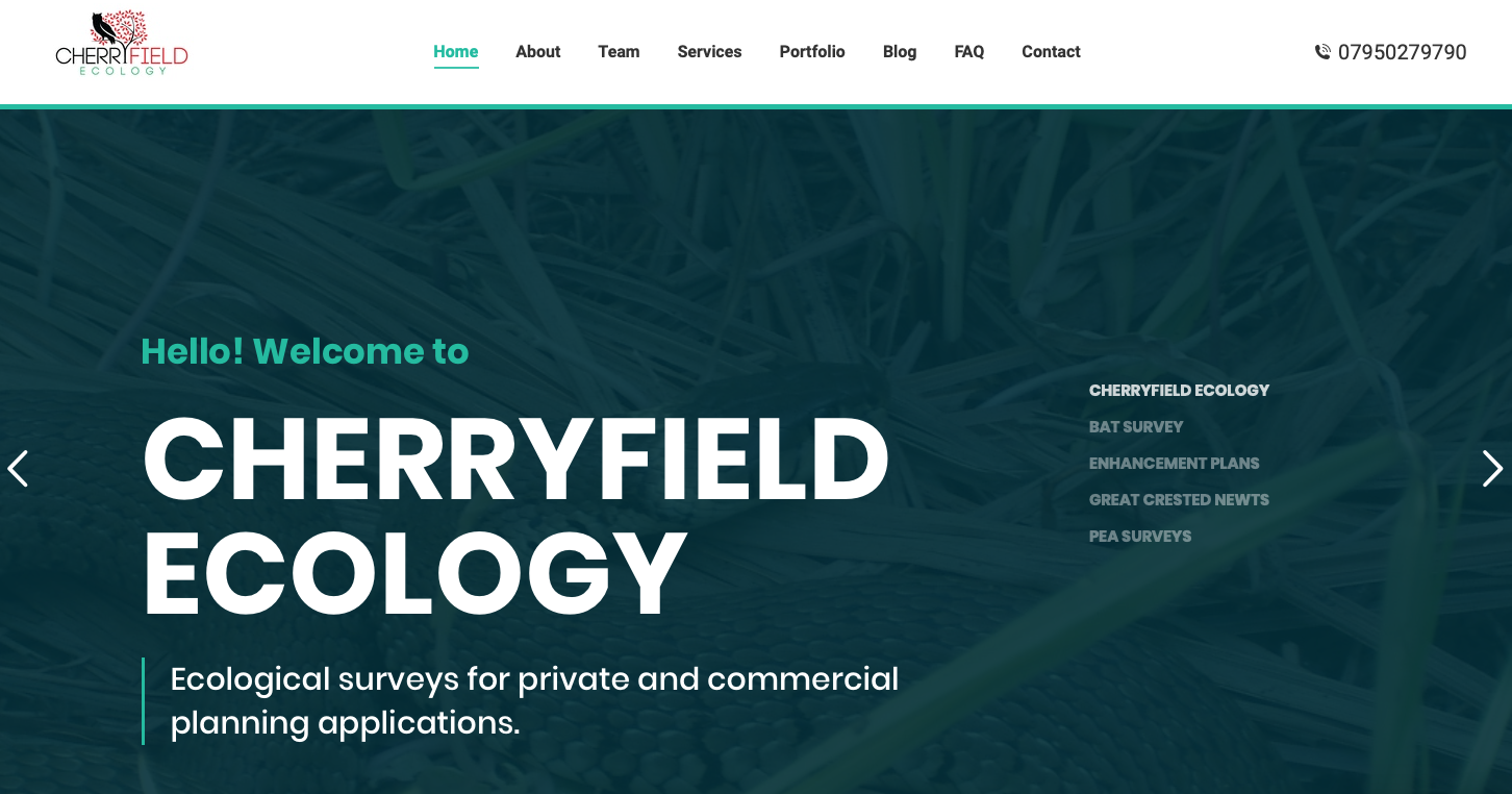 Portfolio - Cherryfield Ecology