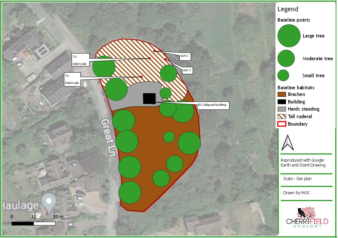 Ecology Surveys in Planning - Cherryfield Ecology Ecology Surveys in Planning - Cherryfield Ecology